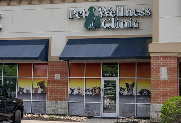 Noblesville Veterinarians | Expert Pet Care at Pet Wellness Clinic