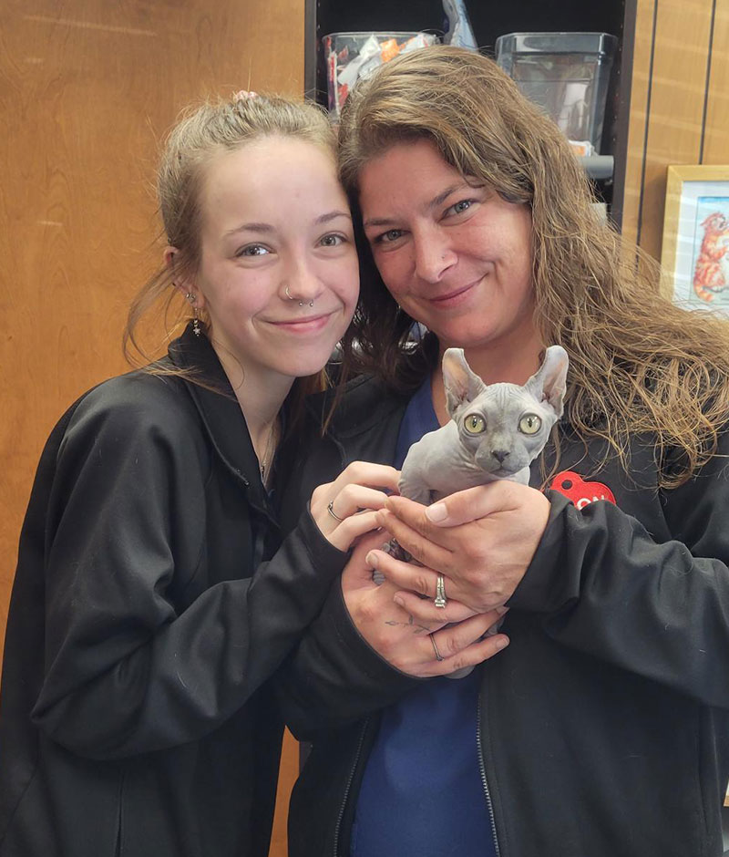 Avalon Pet Wellness Clinics | Indianapolis Veterinarians