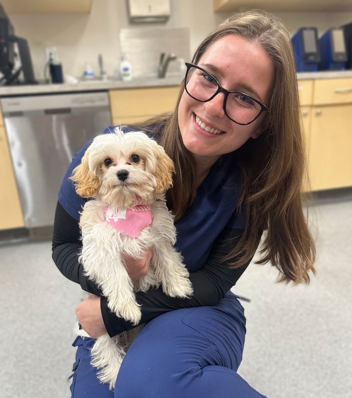 Experienced Westfield Veterinarians | Springmill Pet Wellness Clinic