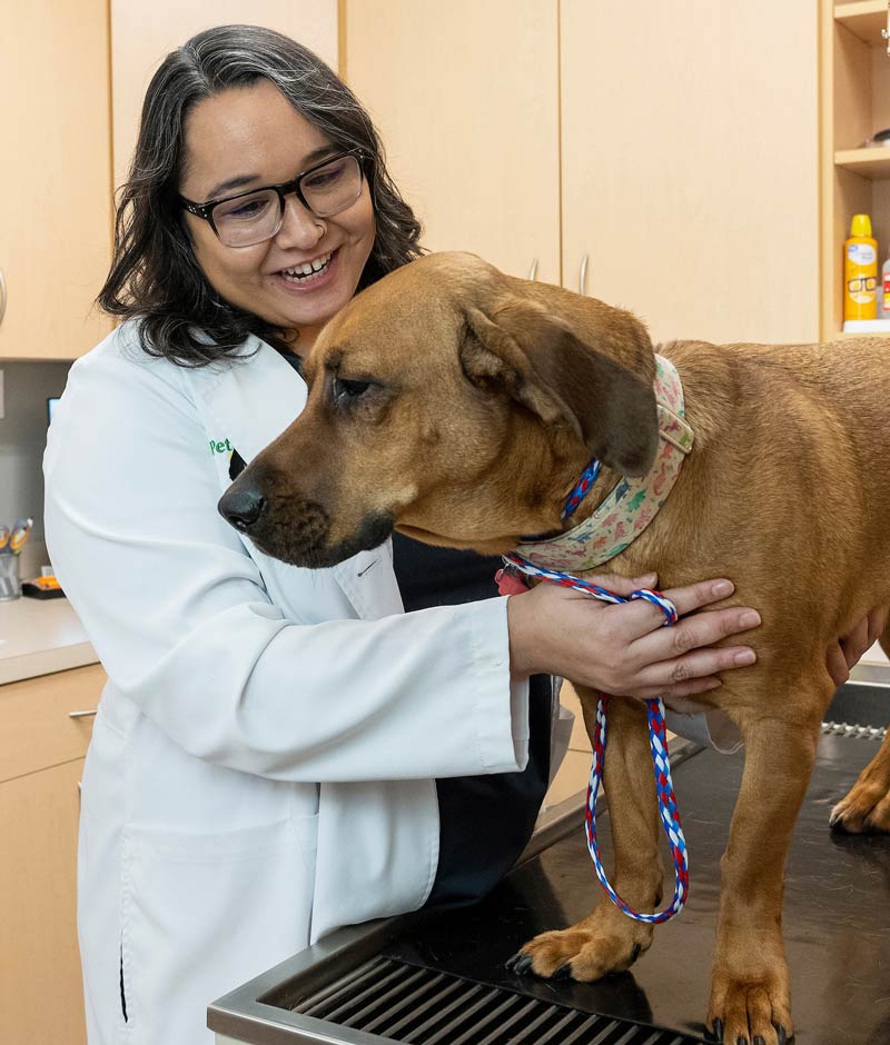 Brownsburg Pet Wellness Clinic | Brownsburg Veterinarians