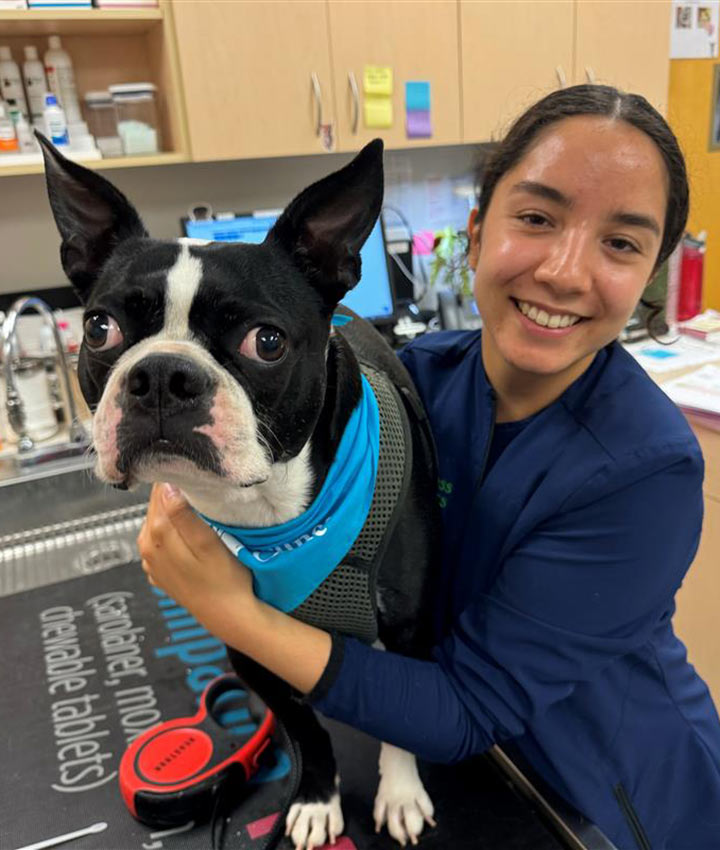 College Park Pet Wellness Clinic | Veterinarians in Indianapolis, IN